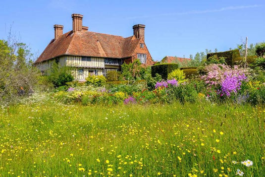 Flower Fields Around The UK | Gardeners Dream