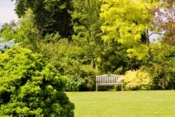 How To Create The Perfect Lawn | Gardeners Dream
