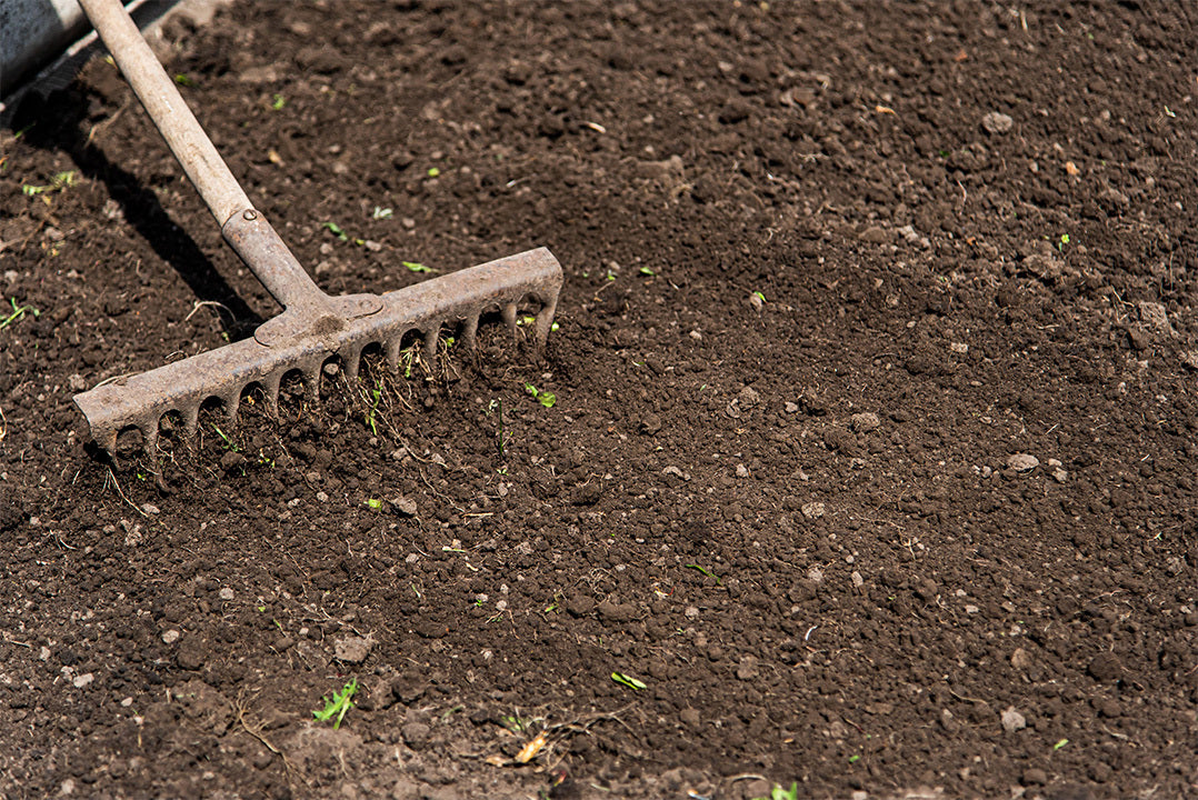 Garden Rakes | Gardening Rake | Gardeners Dream