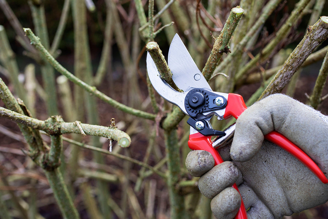 Cutting Tools | Pruning Tools | Gardeners Dream