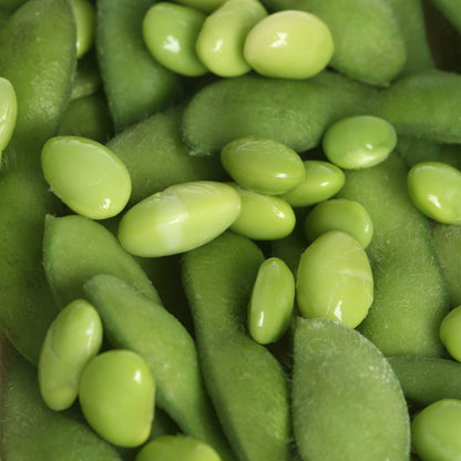Edamame Bean Seeds | Grow Your Own | Free UK Delivery – Gardeners Dream