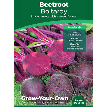 Beetroot Boltardy | Grow Your Own | Free UK Delivery – Gardeners Dream