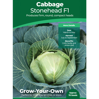 Cabbage Stonehead F1 | Grow Your Own | Free UK Delivery – Gardeners Dream