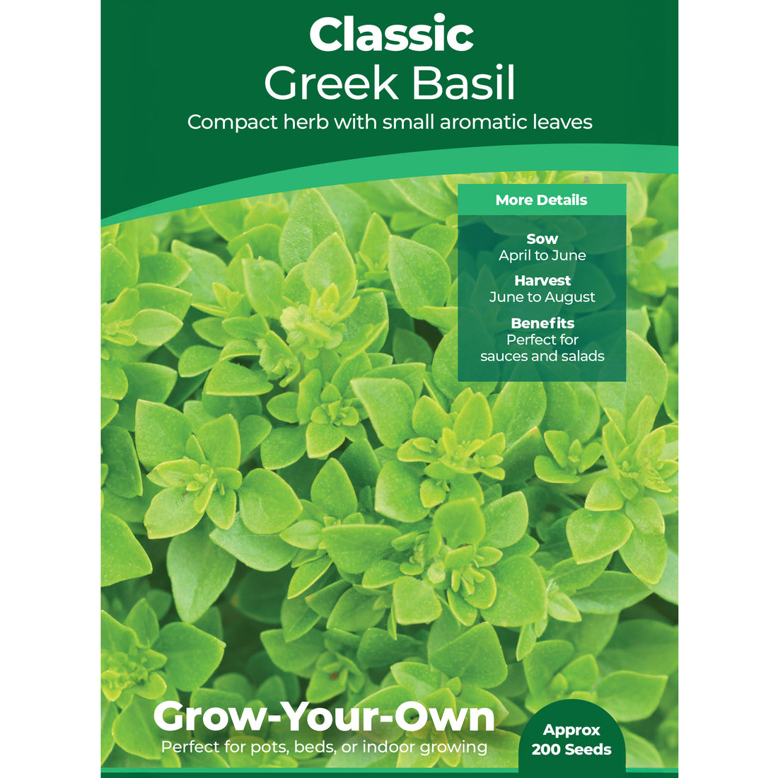 Greek Basil Seeds | Grow Your Own Herbs| Free UK Delivery – Gardeners Dream