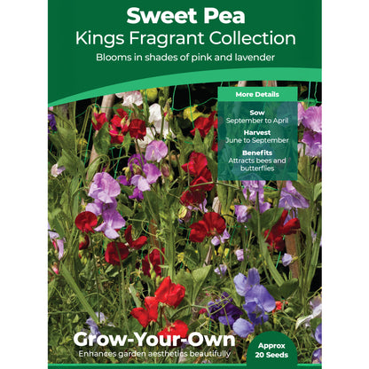 Sweet Pea Seeds | 4 Variety Collection Pack| Free UK Delivery ...