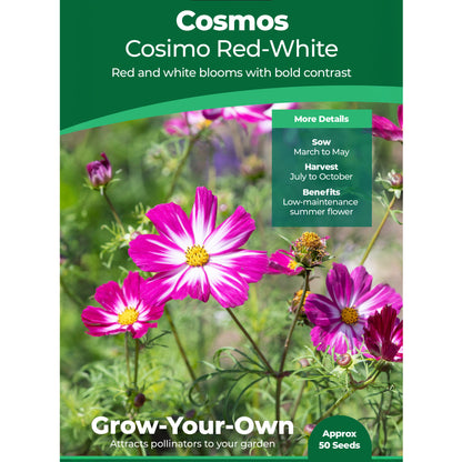Cosmos Cosimo Red-White Seeds | Flowering Outdoor Plants – Gardeners Dream