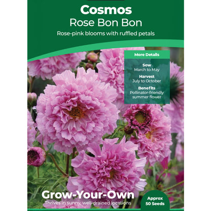 Cosmos Rose Double Click Bon Bon Seeds | Outdoor Plants – Gardeners Dream