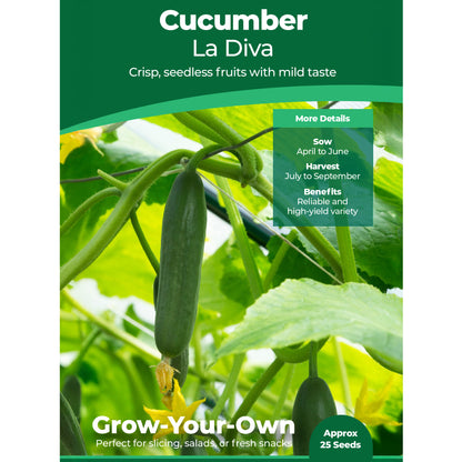Cucumber La Diva | Grow Your Own | Free UK Delivery – Gardeners Dream