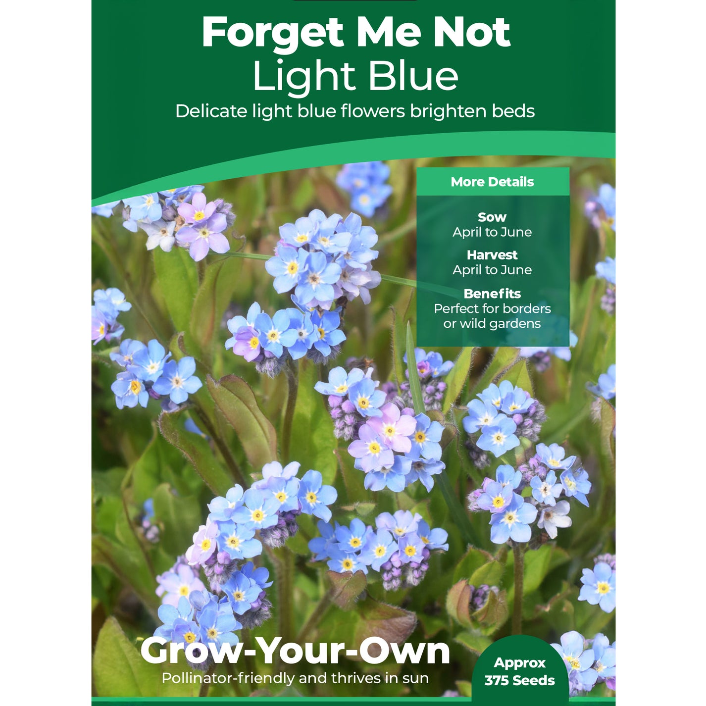 Forget-Me-Not Light Blue Flower Seeds | Outdoor Plants – Gardeners Dream