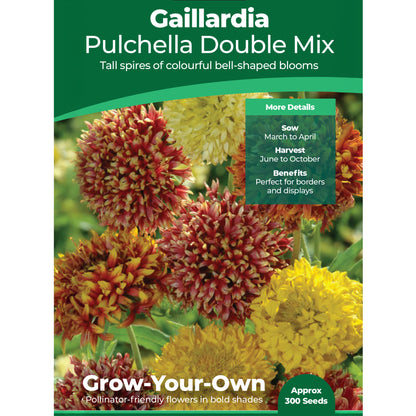 Gaillardia Pulchella Double Mixed Seeds | Outdoor Plants – Gardeners Dream
