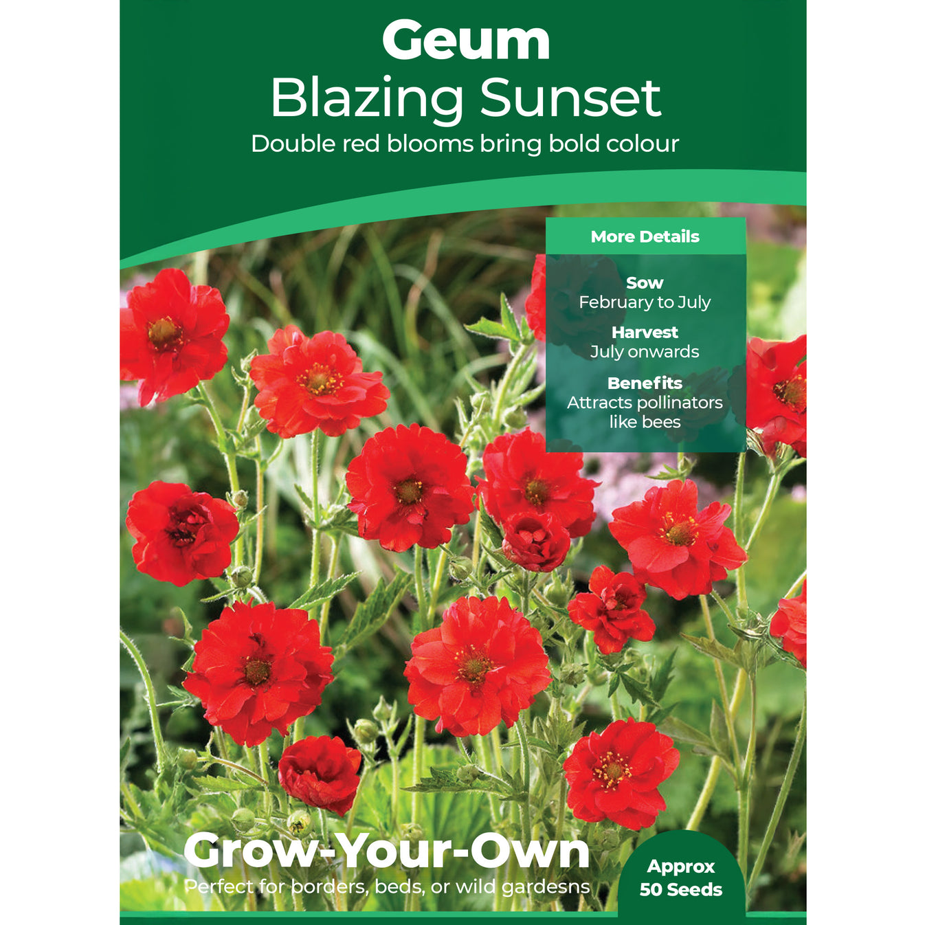 Geum Flora Plena Blazing Sunset Seeds | Outdoor Plants – Gardeners Dream