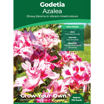 Godetia Clarkia Azalea Flowered Seeds | Outdoor Plants – Gardeners Dream