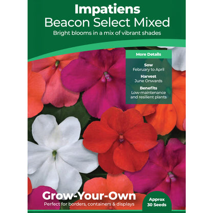 Impatiens Beacon Select Mixed F1 Flower Seeds | Busy Lizzie – Gardeners ...