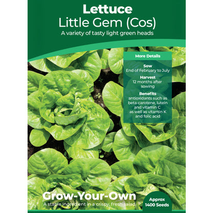 Lettuce Little Gem Cos | Grow Your Own | Free UK Delivery – Gardeners Dream
