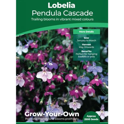 Lobelia Pendula Cascade Mixed Flower Seeds | Outdoor Plants – Gardeners ...