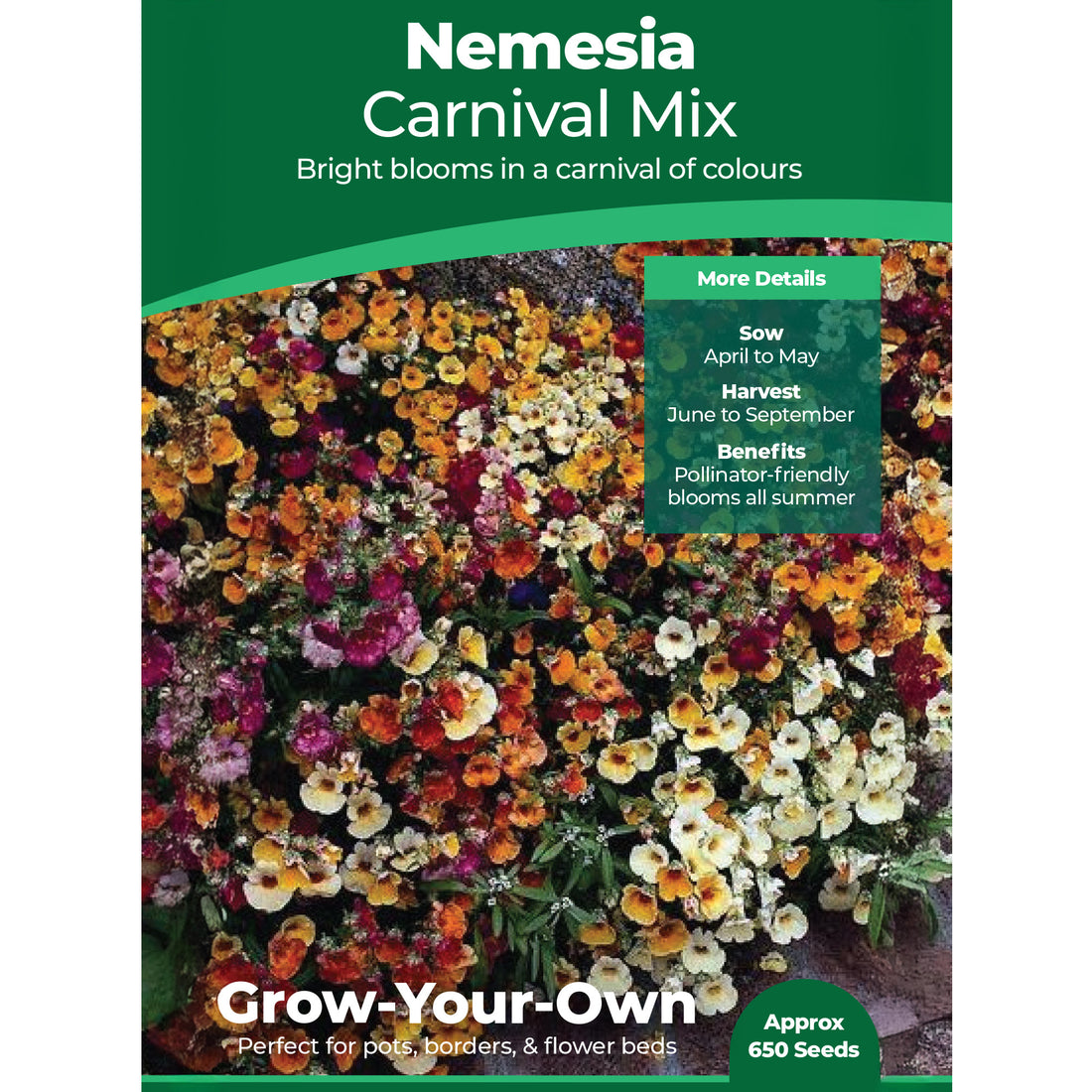 Nemesia Carnival Mixed Flower Seeds | Summer Outdoor Plants – Gardeners ...