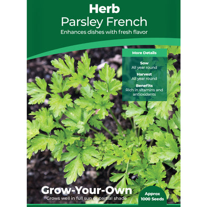 French Parsley Seeds | Grow Your Own | Free UK Delivery – Gardeners Dream