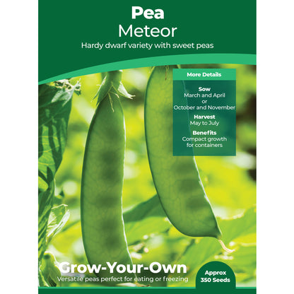 Meteor Pea Seeds | Hardy Annuals | Free UK Delivery – Gardeners Dream