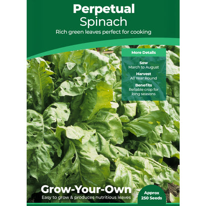 Leaf Beet Perpetual Spinach | Grow Your Own | Free UK Delivery ...