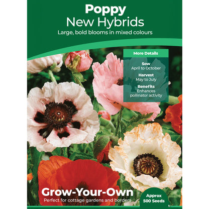 Poppy New Hybrids Mixed | Grow Your Own | Free UK Delivery – Gardeners ...