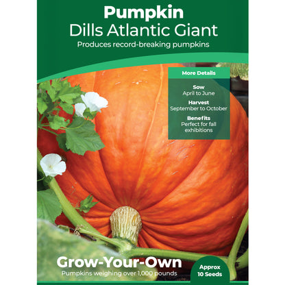 Pumpkin Dills Atlantic Giant | Grow Your Own | Free UK Delivery ...