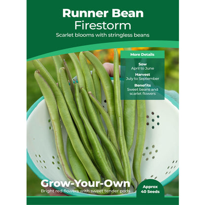 Firestorm Runner Bean Seeds | Grow Your Own Kitchen Garden – Gardeners ...