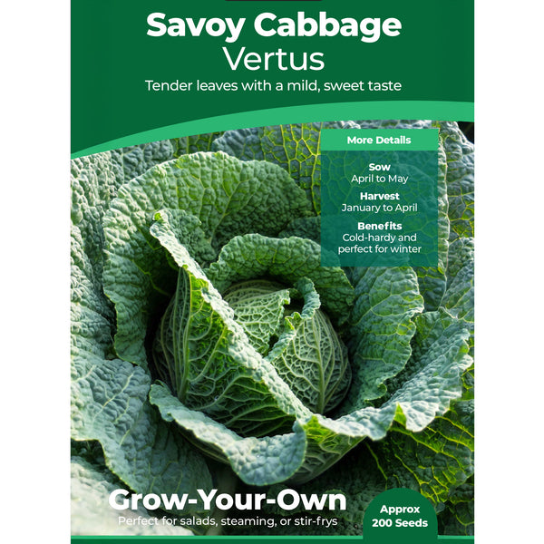 Vertus Savoy Cabbage Seeds | Winter Veg | Free UK Delivery – Gardeners ...