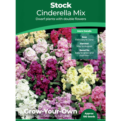Stock Cinderella Mixed | Grow Your Own | Free UK Delivery – Gardeners Dream