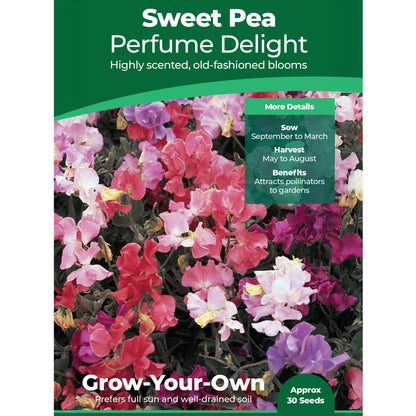 Sweet Pea Perfume Delight | Grow Your Own | Free UK Delivery ...