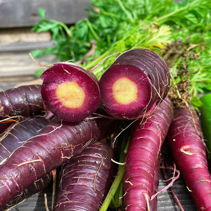 Carrot 'Purple Sun' Seeds | Grow Your Own Vegetables – Gardeners Dream
