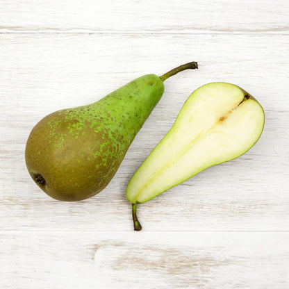 Pear 'Conference' | Pear Tree – Gardeners Dream
