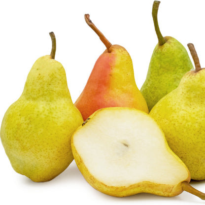 Pear 'Williams' | Pear Tree – Gardeners Dream