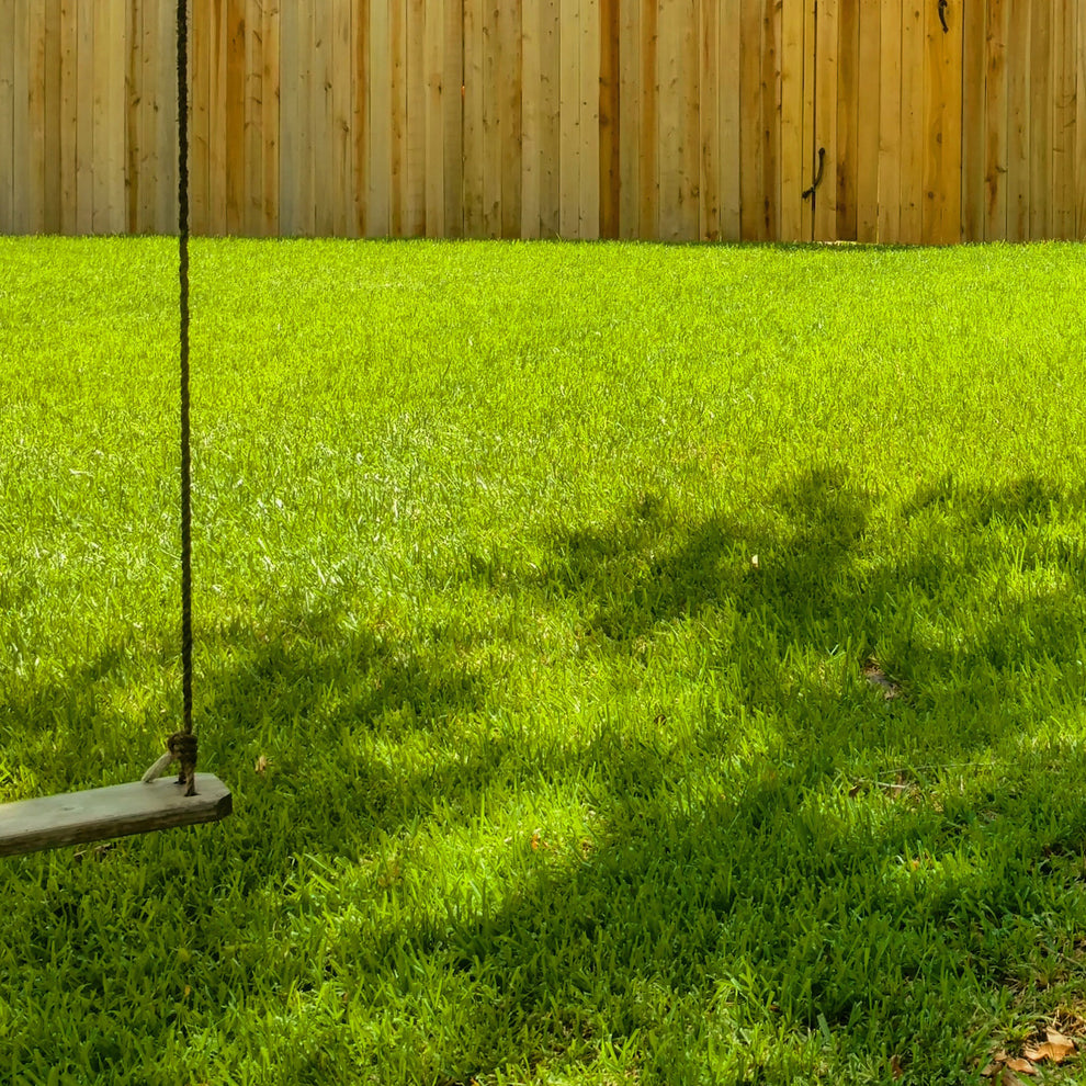 Gardeners Dream Shady Lawn Grass Seed | Lawn Care