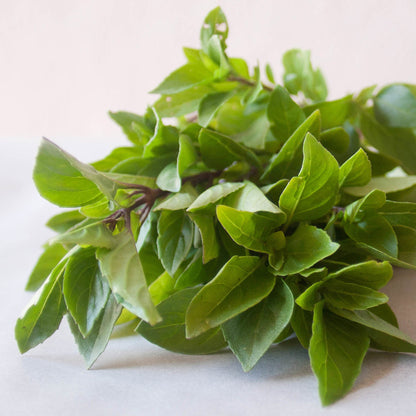 Greek Basil Seeds | Grow Your Own Herbs| Free UK Delivery – Gardeners Dream