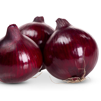 Red Tide F1 Onion Seeds | Grow Your Own | Free UK Delivery – Gardeners ...