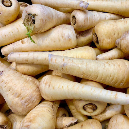 Parsnip Imperial Crown | Grow Your Own | Free UK Delivery – Gardeners Dream