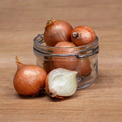 Shallot Red Sun Sets - Grow Your Own Vegetables from Bulbs – Gardeners ...