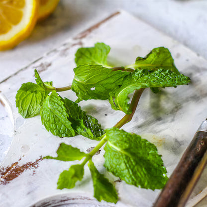 Mint Lemon | Mint Lemon – Gardeners Dream