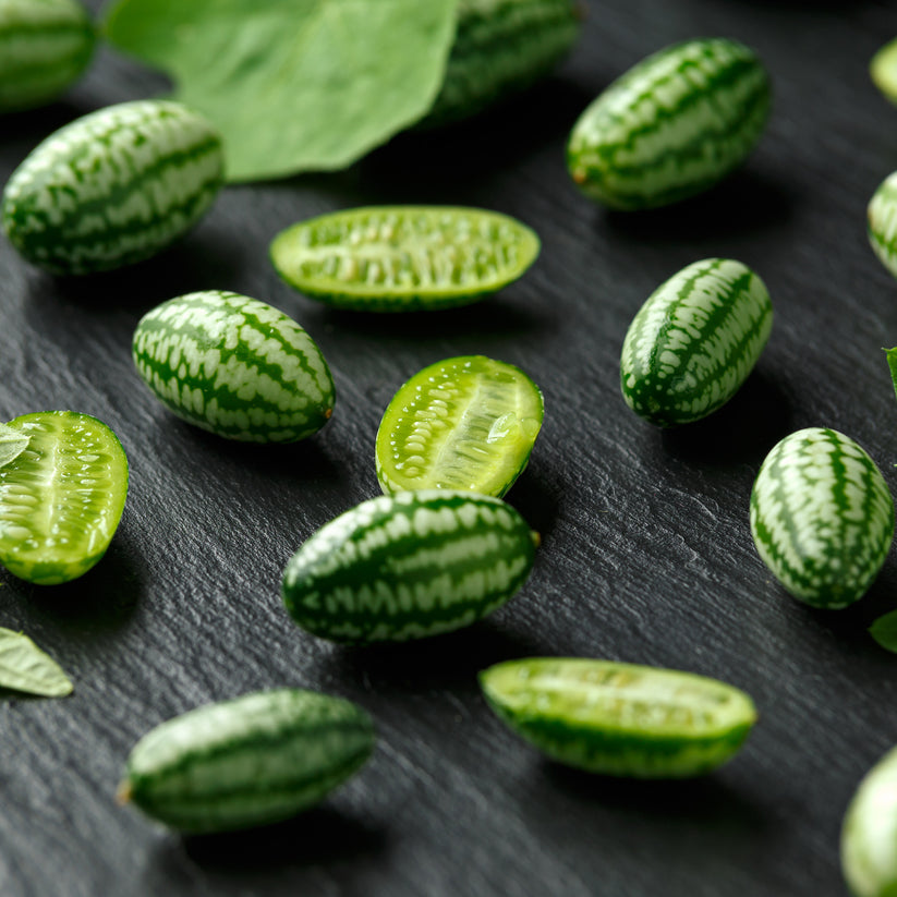 Cucamelon Seeds | Grow Your Own Produce – Gardeners Dream