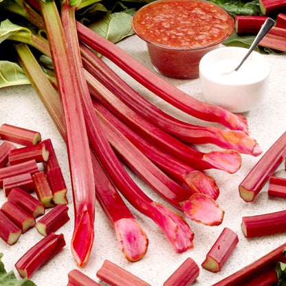 Rhubarb 'Raspberry Red' | Rhubarb – Gardeners Dream