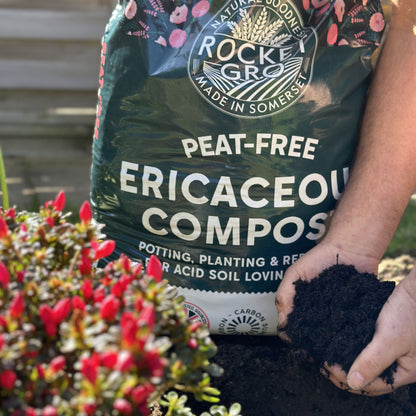 Ericaceous Compost | Gardening Supplies – Gardeners Dream