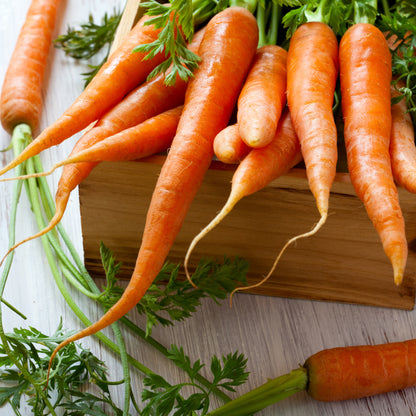 Carrot Flyaway F1 | Grow Your Own | Free UK Delivery – Gardeners Dream