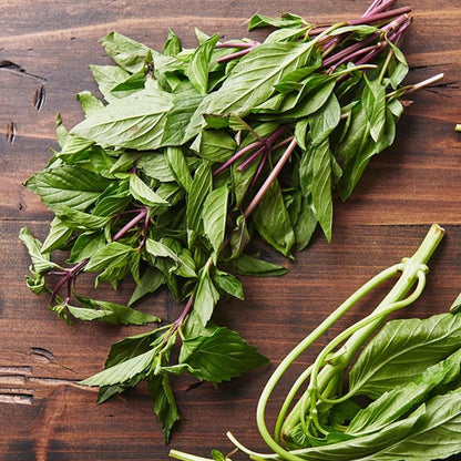 Greek Basil Seeds | Grow Your Own Herbs| Free UK Delivery – Gardeners Dream