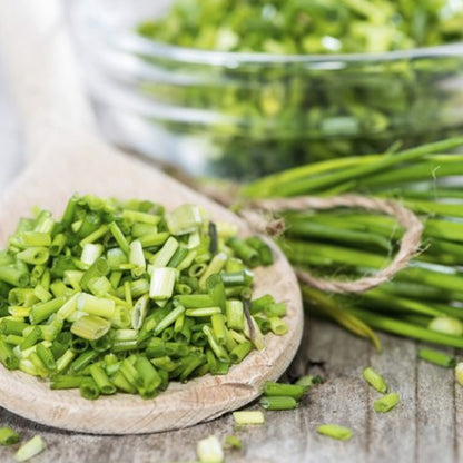 Garlic Chives Seeds | Grow Your Own | Free UK Delivery – Gardeners Dream