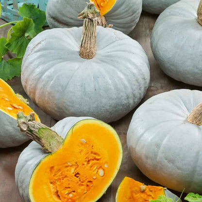 Squash Winter Crown Prince F1 | Grow Your Own | Free UK Delivery ...