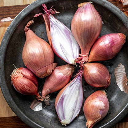 Shallot Red Sun Sets - Grow Your Own Vegetables from Bulbs – Gardeners ...