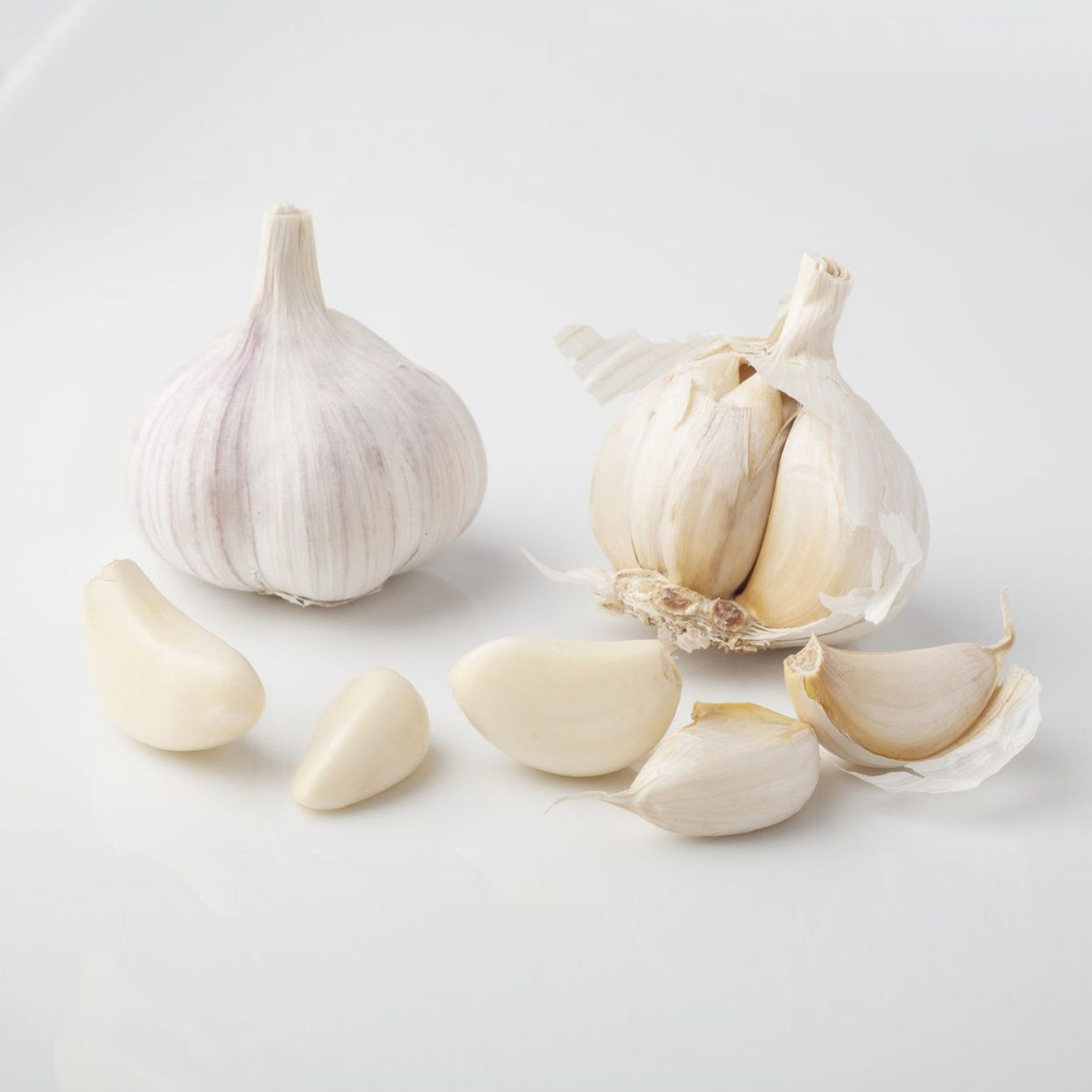 Garcua Garlic Allium Bulbs - Grow Your Own Vegetables – Gardeners Dream