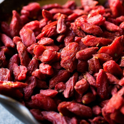 Gojiberry Lycium barbarum 'Little Goji' | Gojiberry – Gardeners Dream