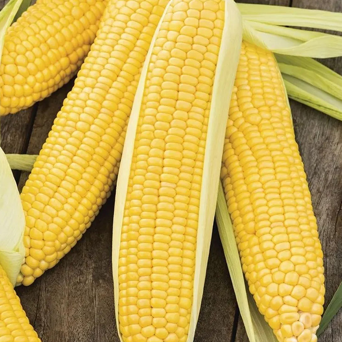 Sweet Corn Goldcrest F1 | Grow Your Own | Free UK Delivery – Gardeners ...
