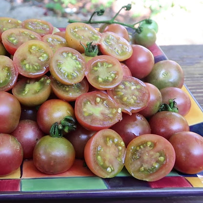 Tomato Rosella Seeds | Grow Your Own | Free UK Delivery – Gardeners Dream